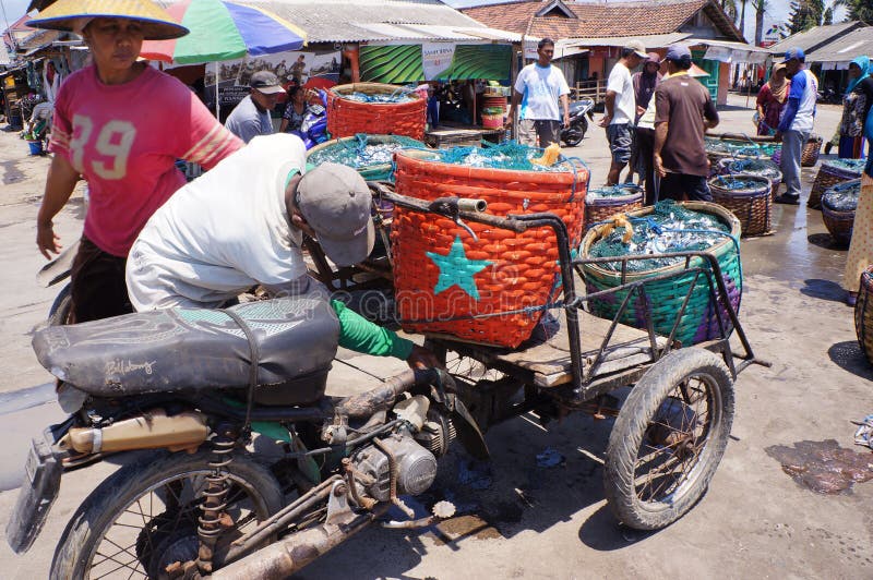 Fish auction editorial stock photo. Image of fish, business - 64873208