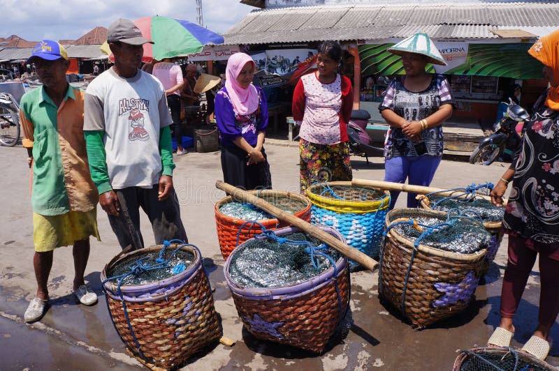 Fish auction editorial photography. Image of vendor, java - 64873237