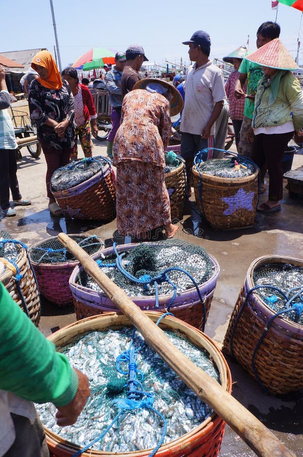 Fish auction editorial stock image. Image of market, produce - 64873324