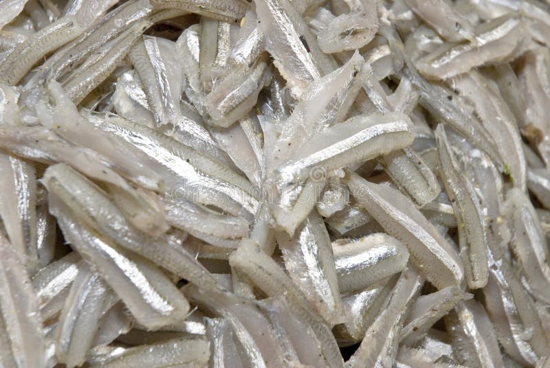 Fish Bait stock photo. Image of appetizer, fish, fresh - 13217672