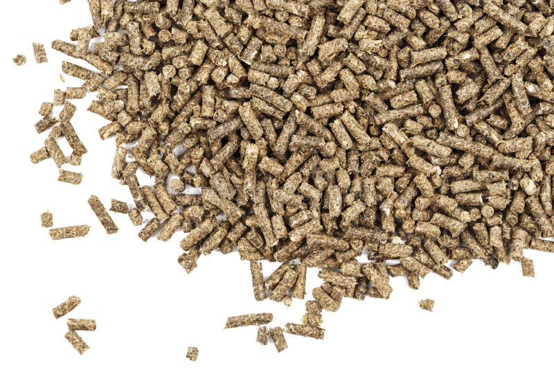 Fish bait pellets stock image. Image of biomass, environment - 140143945