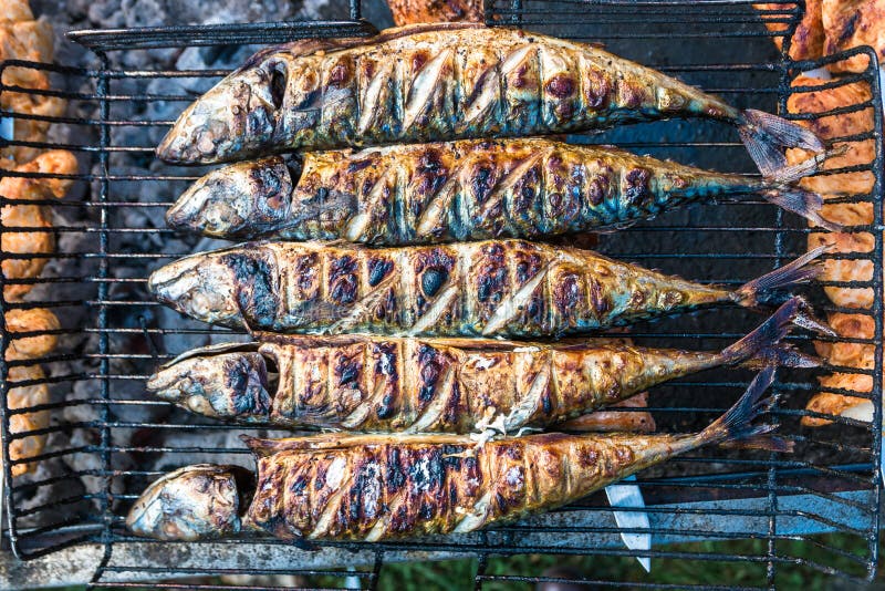 Fish Baked on the Grill in the Grate. Cooking As a Hobby. Professional ...