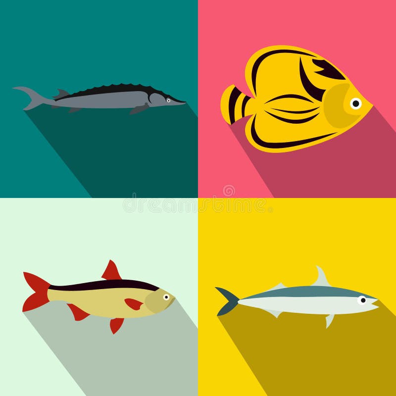 Fish Banners Set, Flat Style Stock Vector - Illustration of flat ...