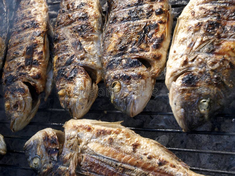 Fish barbecue stock photo. Image of delicious, barbecue - 15734162
