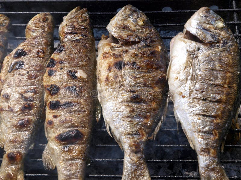 Fish barbecue stock photo. Image of delicious, barbecue - 15734162