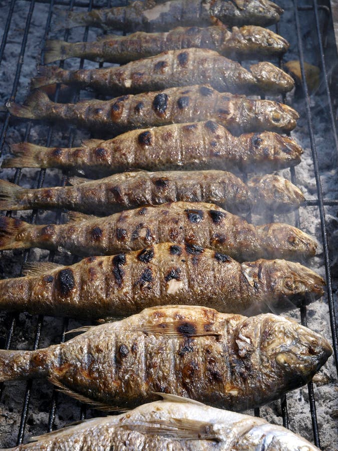 Fish barbecue stock photo. Image of delicious, barbecue - 15734162