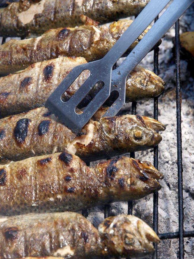 Fish barbecue stock photo. Image of delicious, barbecue - 15734162