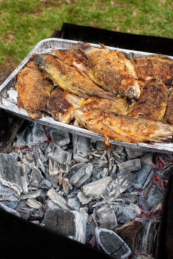 Fish on barbecue stock image. Image of river, cooking - 19110959