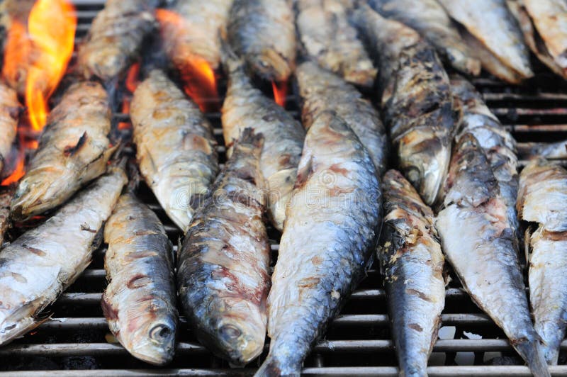 Fish barbecue stock photo. Image of grill, grilled, fire - 21354088