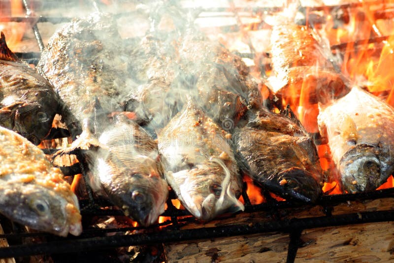 Cooking Fish Over Open Fire Stock Photo - Image of bass, freshwater ...