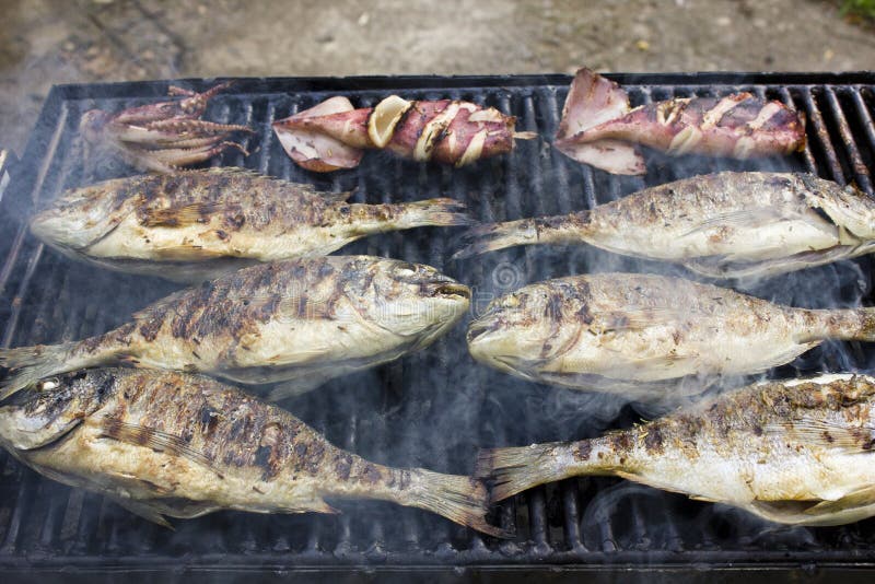 Fish on barbecue stock image. Image of grilling, fish - 44645661