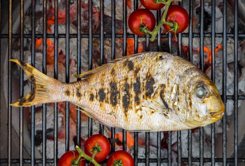 Fish on barbecue stock photo. Image of barbecue, diet - 82628842