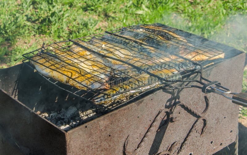 Fish barbecue stock image. Image of forest, gourmet, outdoor - 91635391