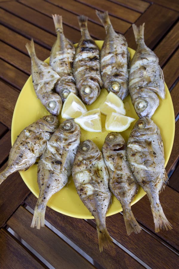 Fish stock photo. Image of green, nature, fishing, plate - 32535096