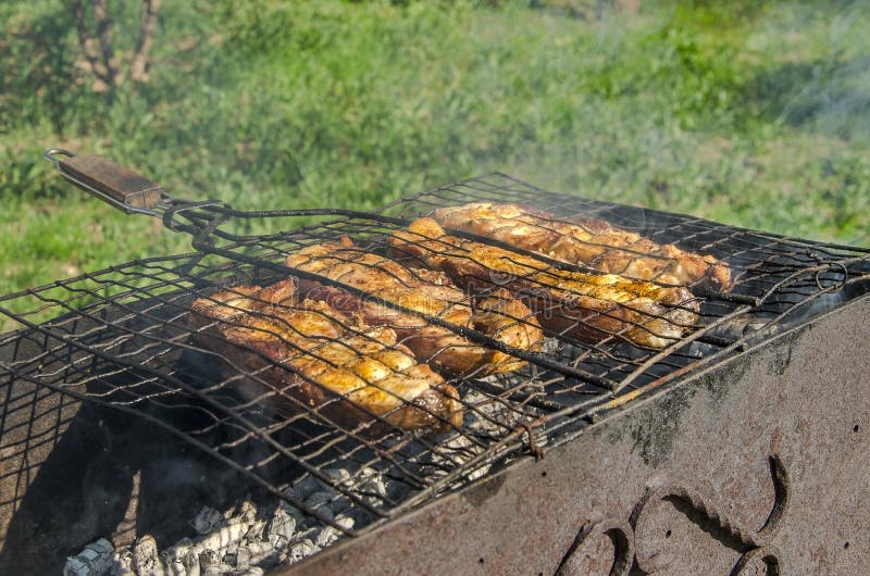 Fish barbecue stock image. Image of smoke, coal, leisure - 91635367