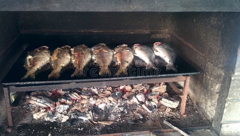 Fish stock image. Image of barbeque, fish, fresh, food - 44361671