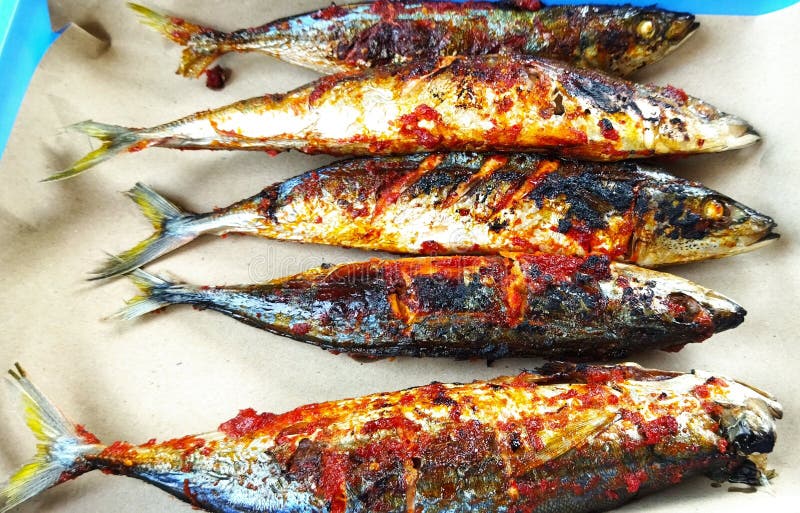 Fish Barbeque Wrapped in Thee Foil, Healthy Food. Stock Image - Image ...