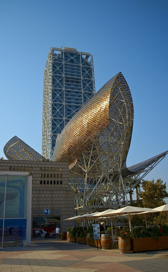 Fish in Barceloneta editorial photo. Image of modern - 18816936