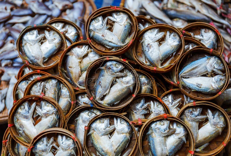 Fish in Barrels for Sell at Market Stock Image - Image of asia, nature ...