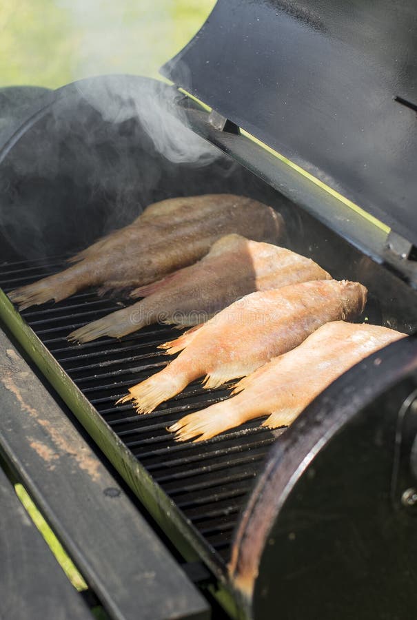 Fish on BBQ. stock image. Image of outdoor, barbecue - 96735481