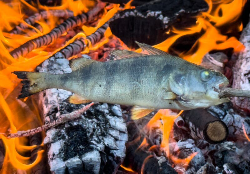 A Fish is Being Cooked Over a Fire Stock Photo - Image of cuisine, burn ...