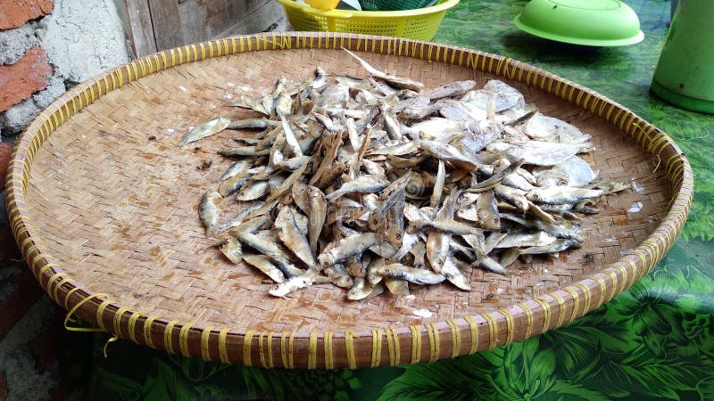 Fish that are Being Dried in the Sun To Dry Stock Photo - Image of meat ...