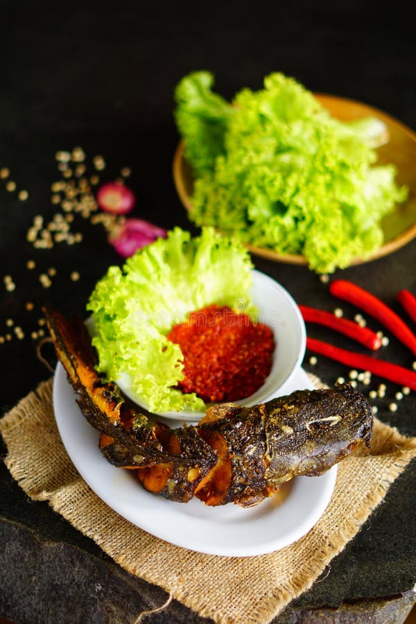 Fish bites stock photo. Image of food, produce, breakfast - 209667536