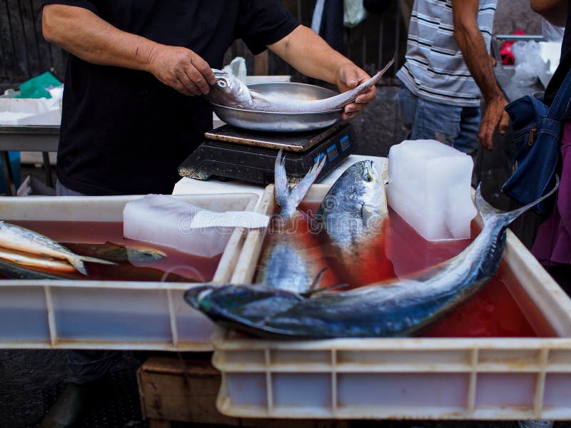 Fish in Blood on Fish Market Stock Photo - Image of eating, catch: 97343566