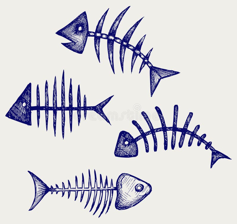 Fish Bone, Vector Illustration Stock Vector - Illustration of naive ...