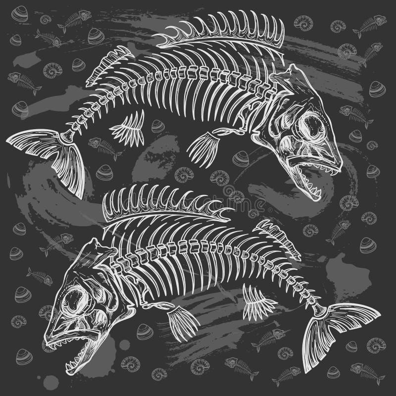 Fish Skeleton Stock Illustrations – 7,988 Fish Skeleton Stock ...