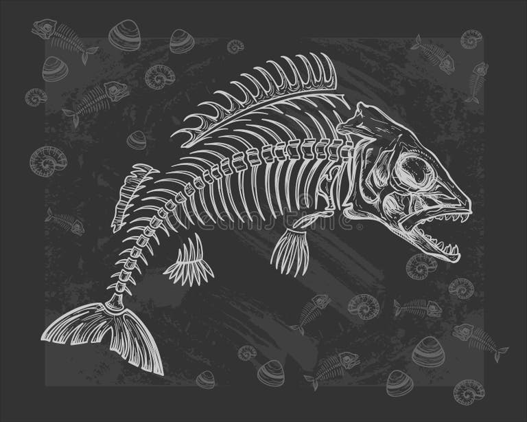 Fish Skeleton Drawing Stock Illustrations – 3,109 Fish Skeleton Drawing ...