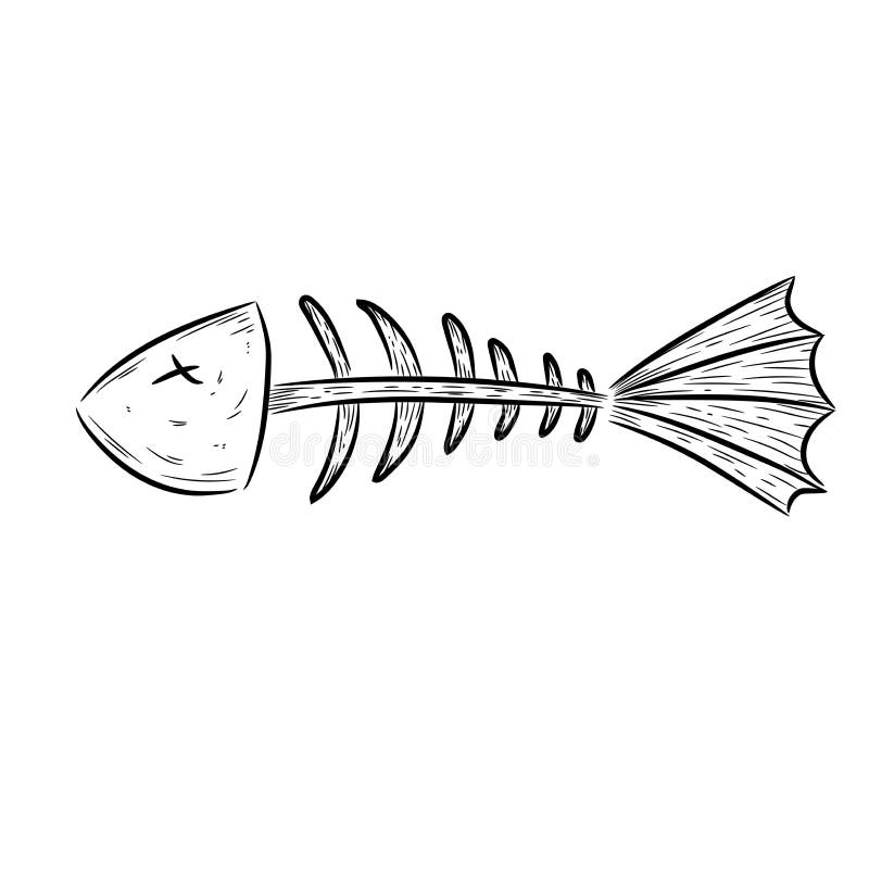 Fish bone, fish skeleton stock vector. Illustration of draw - 87361033