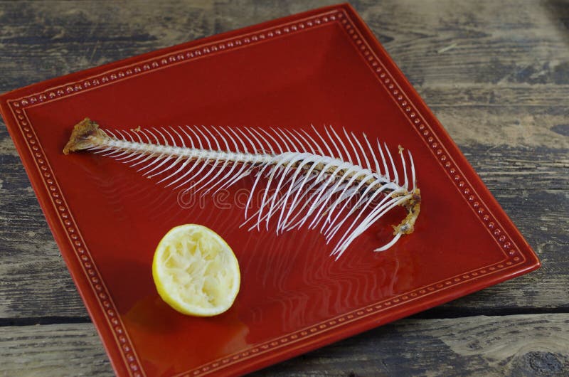 Fish bone stock photo. Image of meal, cuisine, dine, lunch - 14627218