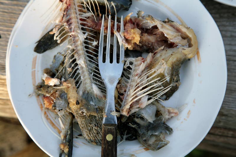 Fish bones stock photo. Image of restaurant, fish, fried - 4746804