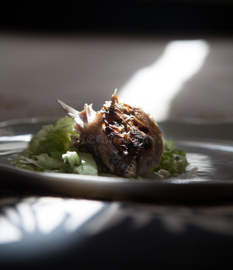 Fish Bones on Ceramic Plate with Side Reflexion Stock Photo - Image of ...