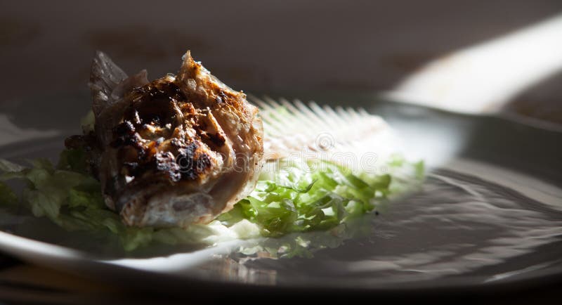 Fish Bones on Ceramic Plate with Side Reflexion Stock Photo - Image of ...