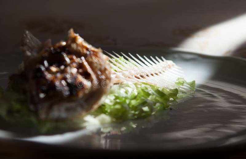 Fish Bones on Ceramic Plate with Side Reflexion Stock Image - Image of ...