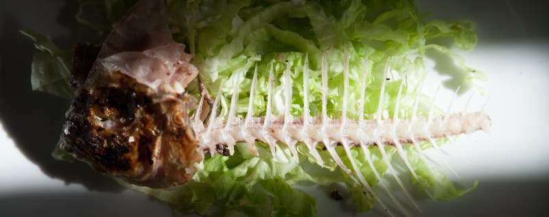 Fish Bones on Ceramic Plate with Side Reflexion Stock Photo - Image of ...