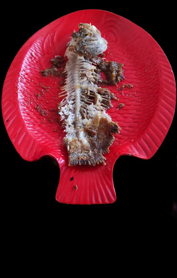 Fish Bones on a Fish-shaped Plate Stock Image - Image of abstract ...