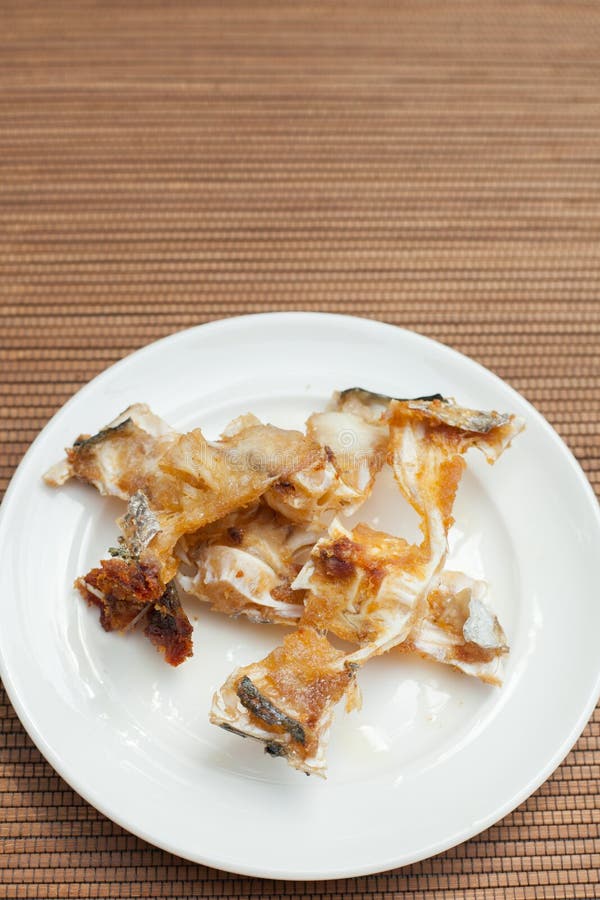 101 Cat Fish Bones Stock Photos - Free & Royalty-Free Stock Photos from ...