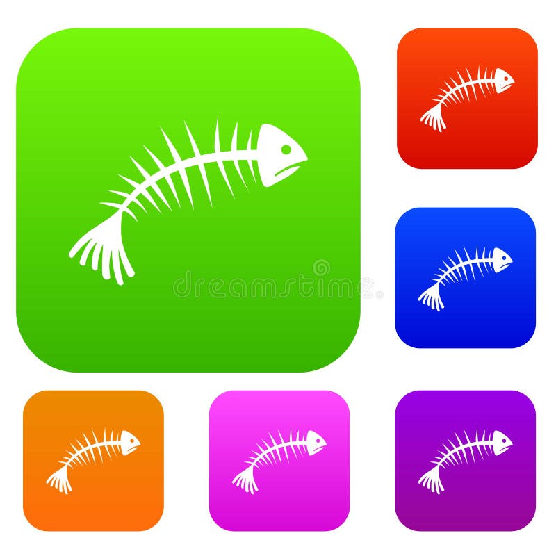 Fish bones set collection stock vector. Illustration of marine - 97735826