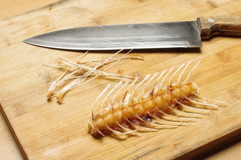 Salmon Anatomy Stock Photos - Free & Royalty-Free Stock Photos from ...