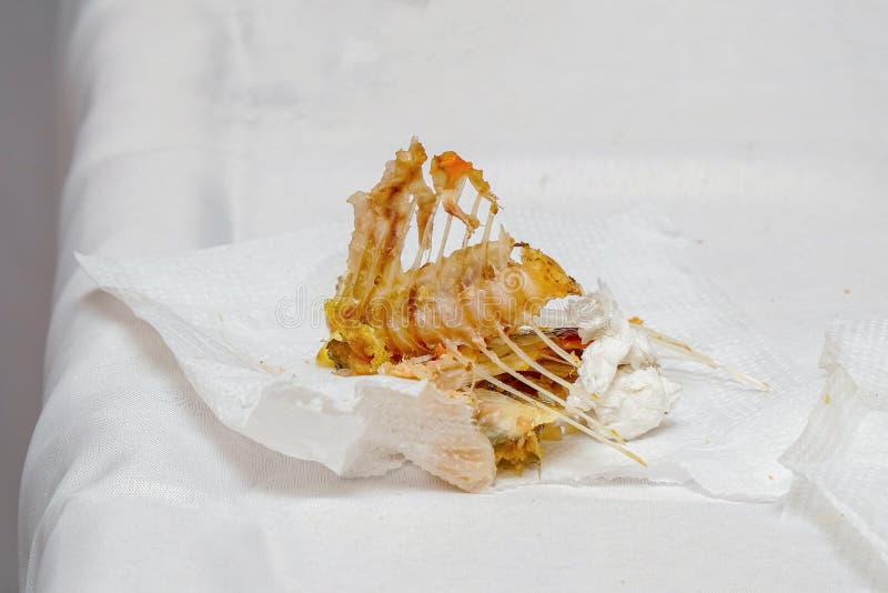 Fish Bones on a White Napkin Stock Photo - Image of food, fish: 140309496