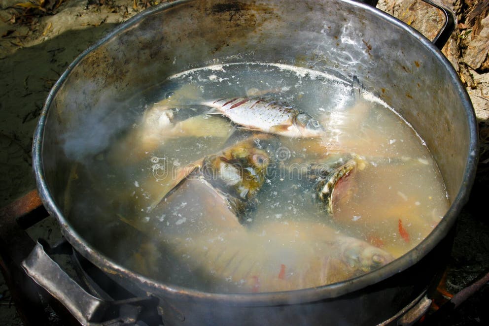 Fish borsch at cauldron stock image. Image of fire, tomato - 21815929