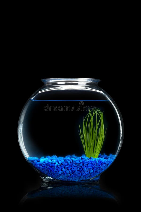 Fish Bowl stock image. Image of clean, sequence, outs - 6244705