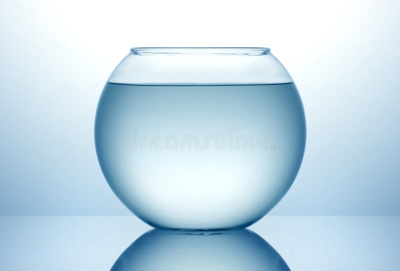 Close Up View of Fish Bowl Isolated Stock Photo - Image of nature ...