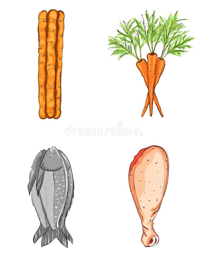 Fish Bread Carrot Chicken stock vector. Illustration of goods - 26624149
