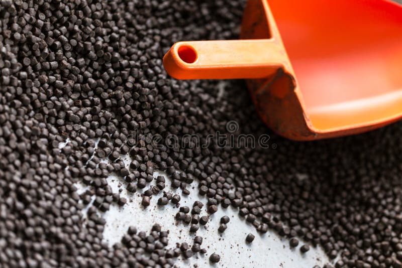 Fish breeding food stock image. Image of food, seafood - 78121095