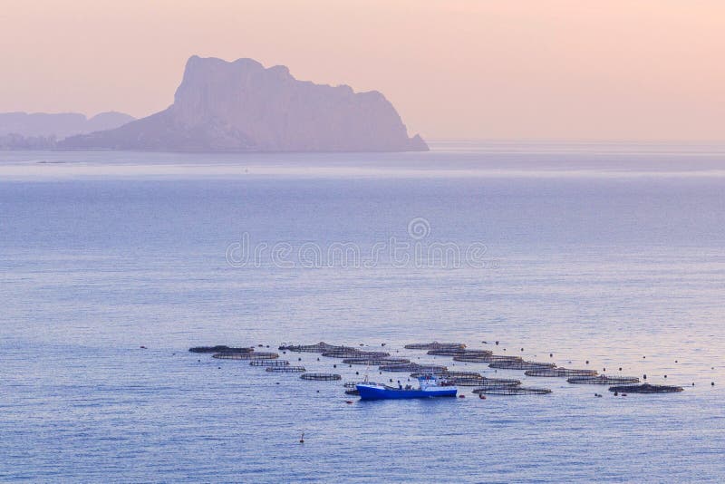 Fish Breeding with Tanks Directly into the Sea, Spain Stock Image ...