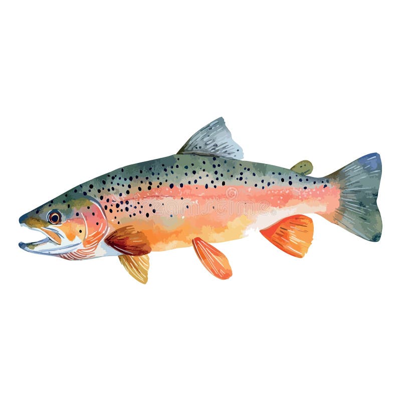 Fish with a Brown and Orange Color. it Has a Black Spot on Its Head ...